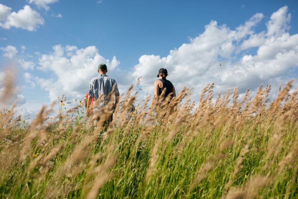 Financing • Mad Capital • Organic Financing